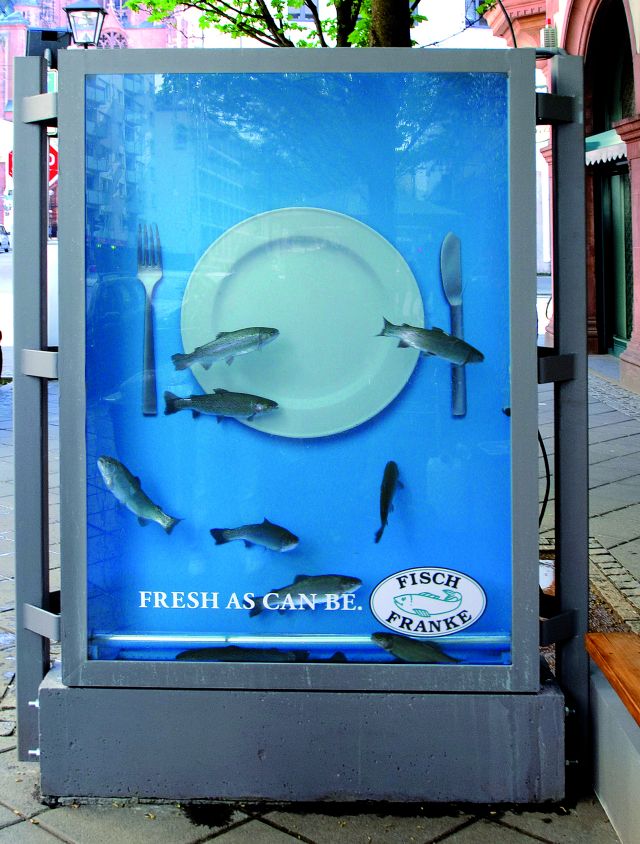 Fisch Franke: Frankfurts lebendigste Werbung im Forellen-Fenster | Le ...